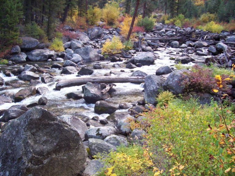 Secesh River